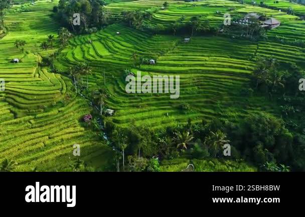 Landscape view of Jatiluwih Rice Terraces in Penebel District, Tabanan Regency, Bali, Indonesia ...