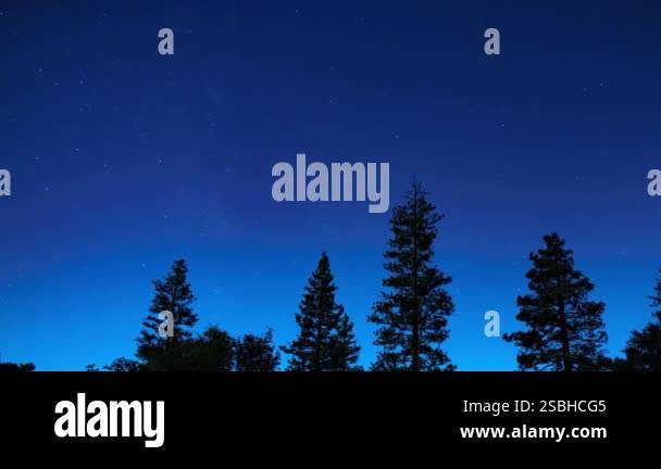 Milky Way Galaxy Under Moonlight Time Lapse in South Sky Pine Forests ...