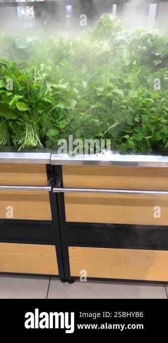 Hydroponic misting Stock Videos & Footage - HD and 4K Video Clips - Alamy