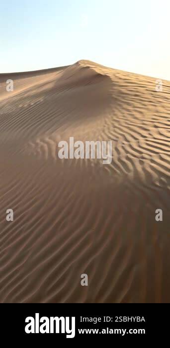 Desert comes alive in evening as setting sun bathes dunes in gold ...