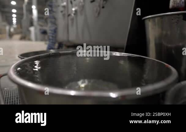 Soaking raw materials in form of waste paper in water. Turning of ...
