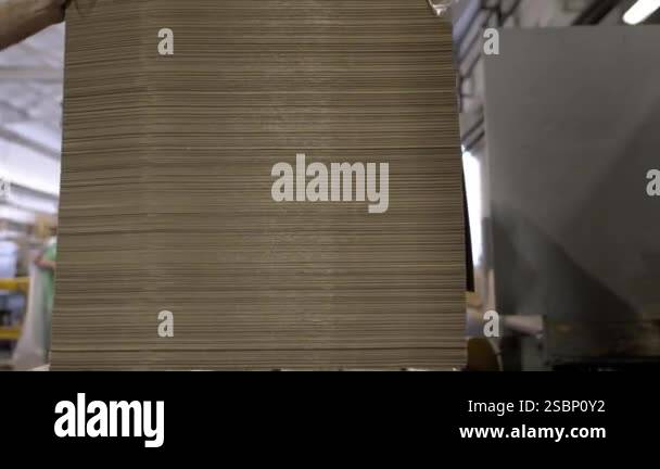 Employee places large finished cardboard sheets in stacks for storage ...