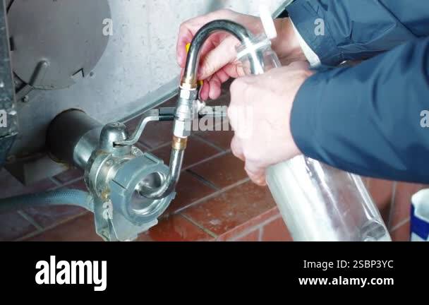 A man on a dairy farm pours fresh cows milk into a bottle from a tap on ...