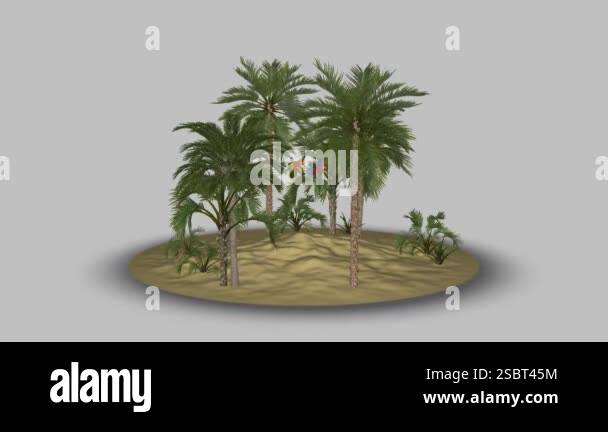Oasis with Flying Parrots, Transparent Background, Alpha Channel ...
