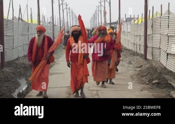 Prayagraj, Uttar Pradesh, India, 12 January 2025. Clad in saffron robes ...