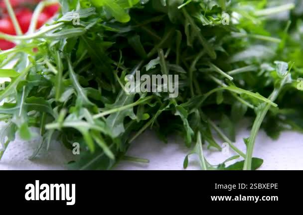 fresh green arugula, rotation in circle. natural vegetarian food ...