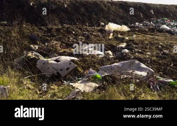 Pollution of the environment and nature. Heaps of waste thrown by ...