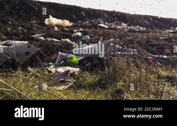 Toxic pollution of nature from garbage thrown directly into nature ...