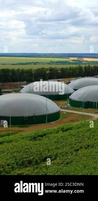Renewable energy from biomass. Aerial view of biogas plant and farm in ...