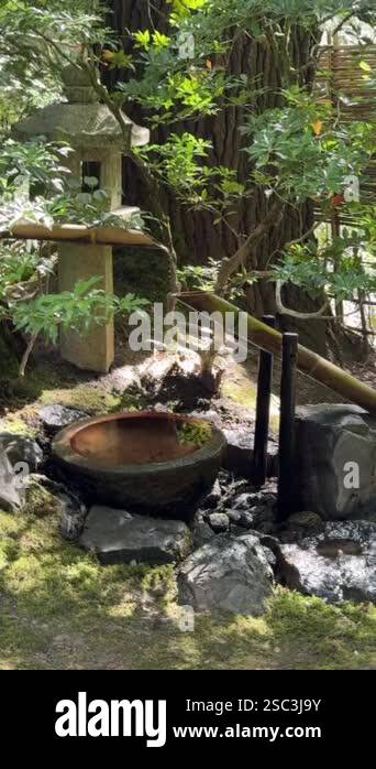 Traditional bamboo water fountain in a serene garden setting in ...