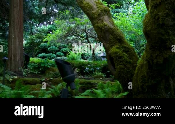 Textured Tree Bark Covered With Moss In The Netherlands. Macro ...