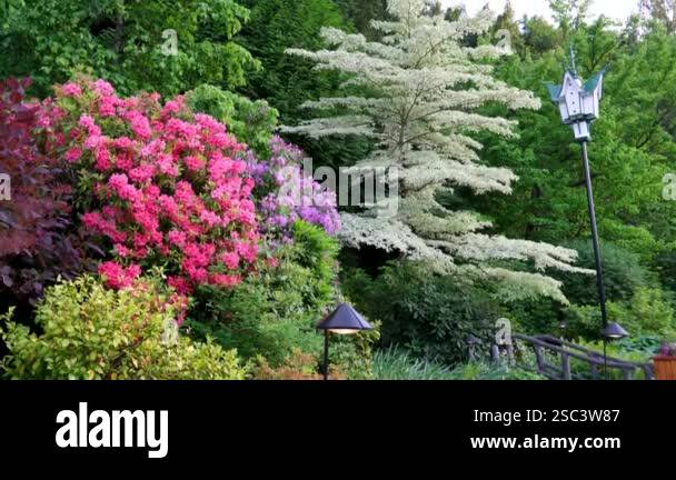 Pathway sunken garden butchart Stock Videos & Footage - HD and 4K Video ...
