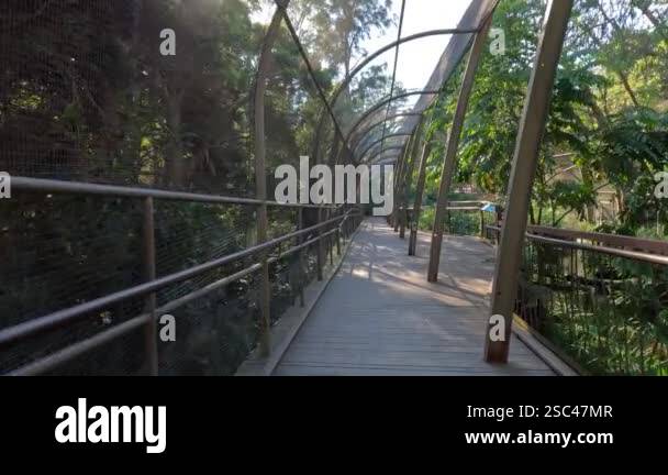 Walkway in Melbourne Zoo's butterfly enclosure Stock Video Footage - Alamy