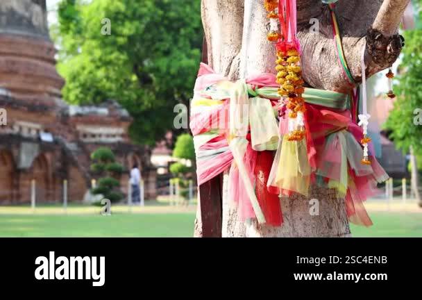 Holy tree buddhism ayutthaya Stock Videos & Footage - HD and 4K Video ...
