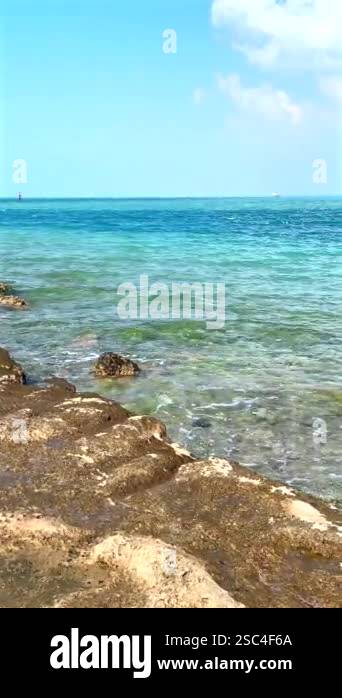 Ocean water ripples gently, shaping coastal flow, preserving marine ...