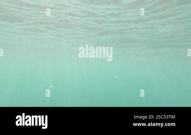 Transition from surface to underwater view Stock Video Footage - Alamy