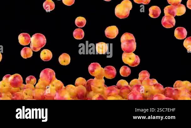 Nectarine fruits falling and fill the screen. 3D animation on ...