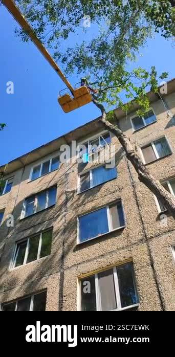 Tree pruning. Municipal workers in basket of construction crane ...