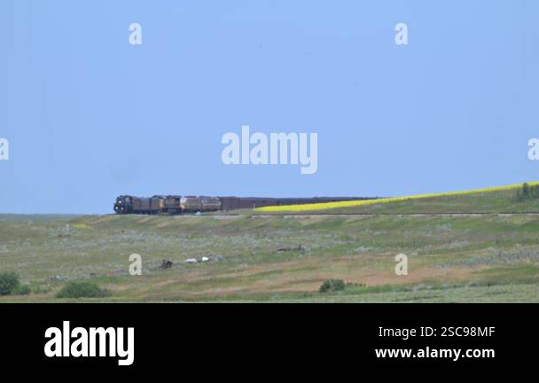 Steam train 2816 travelling across the Canadian prairies Stock Video ...