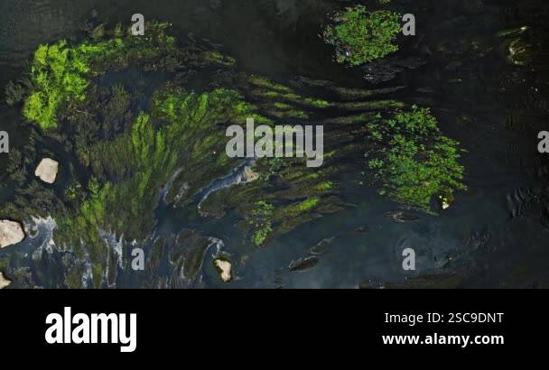 Natural Bacteria Algae Foam Lake River Flowing Water Aerial Top Down ...