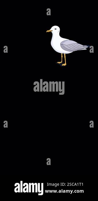 Seagull. Handmade 2D animated HD footage isolated on alpha channel ...