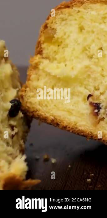 squeeze panettone Easter dove in female hands . Colomba di Pasqua ...