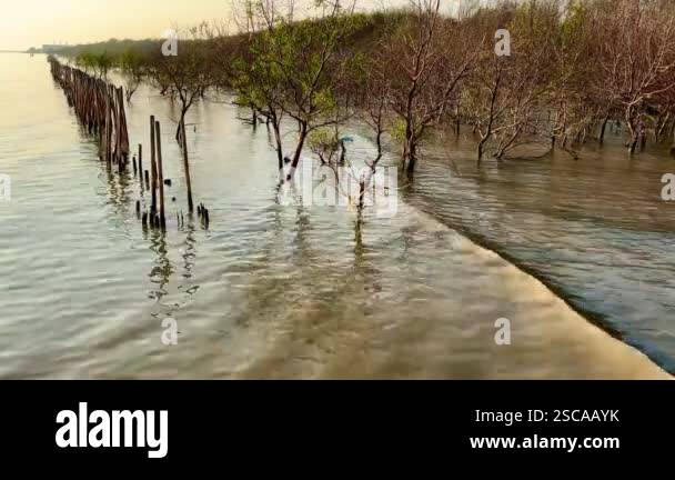 This stunning high-resolution video captures the Sun up close, showing ...