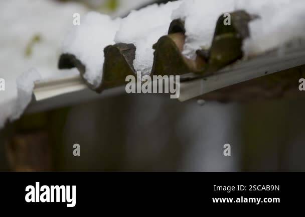Snow melting on roof close up, water dripping from eaves of corrugated ...