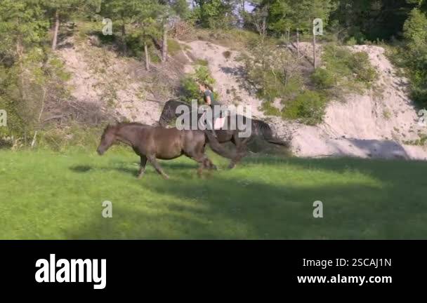 SLOW MOTION: Lady gallops on a dark brown stallion across a green ...