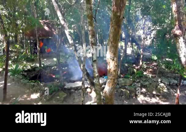 Smoke of the shaman in tropical jungle and nature with trees branches ...