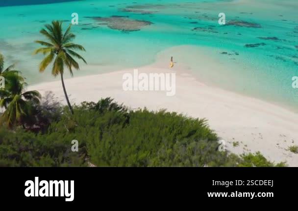 Tropical island sand beach with palm trees, coral reef, crystal ...