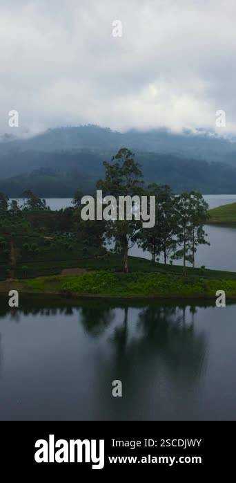 Tea plantation and Maskeliya Lake or Maussakelle reservoir near Nuwara ...