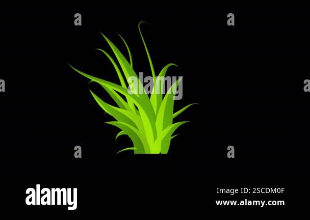 Windy waving grass animation. Green grass plant animation. Grass moving ...