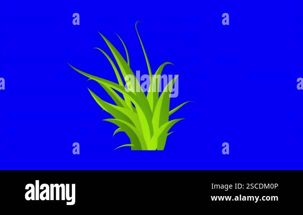 Windy waving grass animation. Green grass plant animation. Grass moving ...