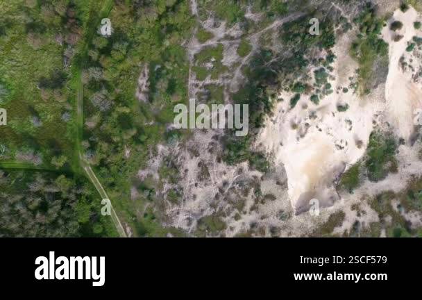 Aerial view of a sandy area surrounded by green vegetation and trees ...