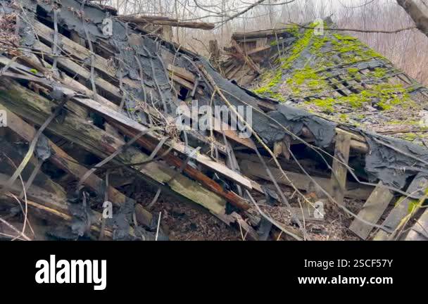 An abandoned, dilapidated house surrounded by leafless trees and ...