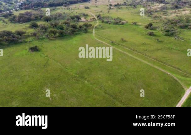 An aerial view of a vast green field with scattered trees, intersected ...