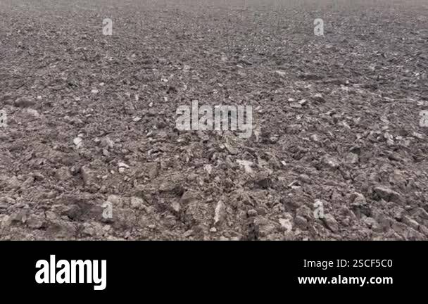 A close up of dry, cracked soil showing the rough texture and arid ...