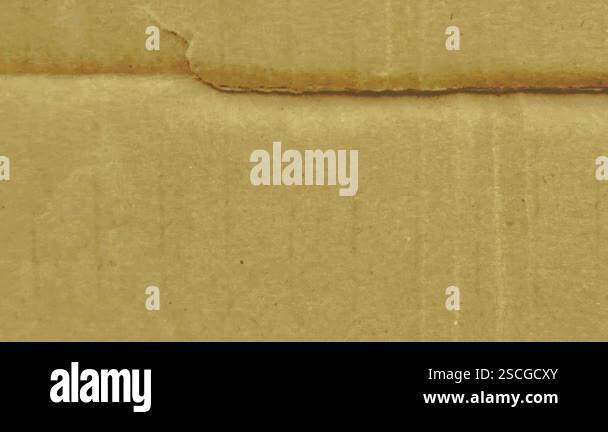 Cardboard Texture Background Animation for Natural and Organic Design ...