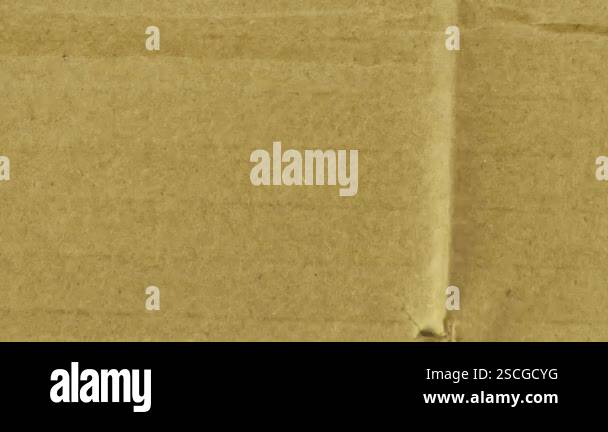 Cardboard Texture Background Animation for Natural and Organic Design ...