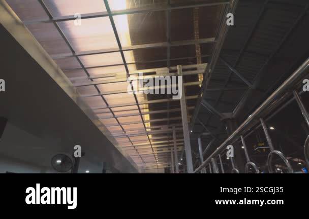 A view of a modern airport terminal ceiling with a transparent roof ...