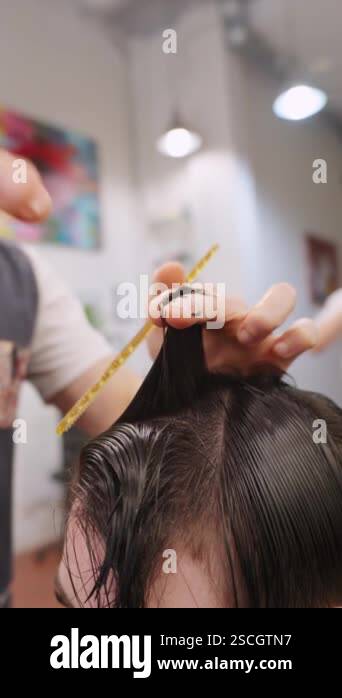 Professional hairdresser carefully cutting wet clients hair using ...