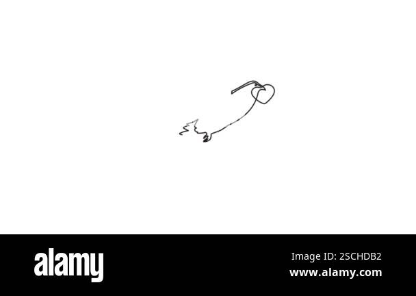 Pigeon love concept one line art animation, fellings flies concept ...