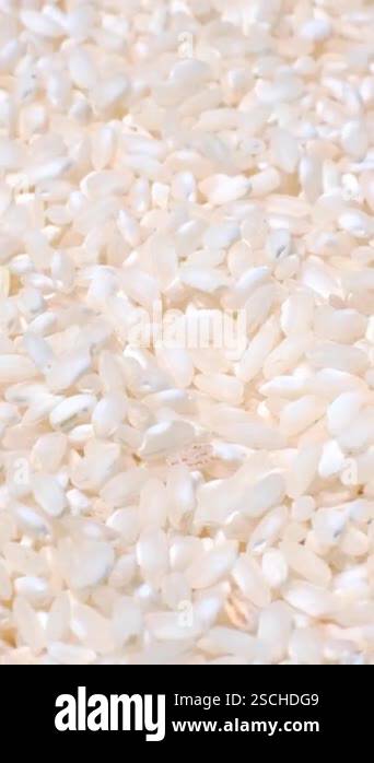 A captivating, upclose detailed view of pure white rice grains ...