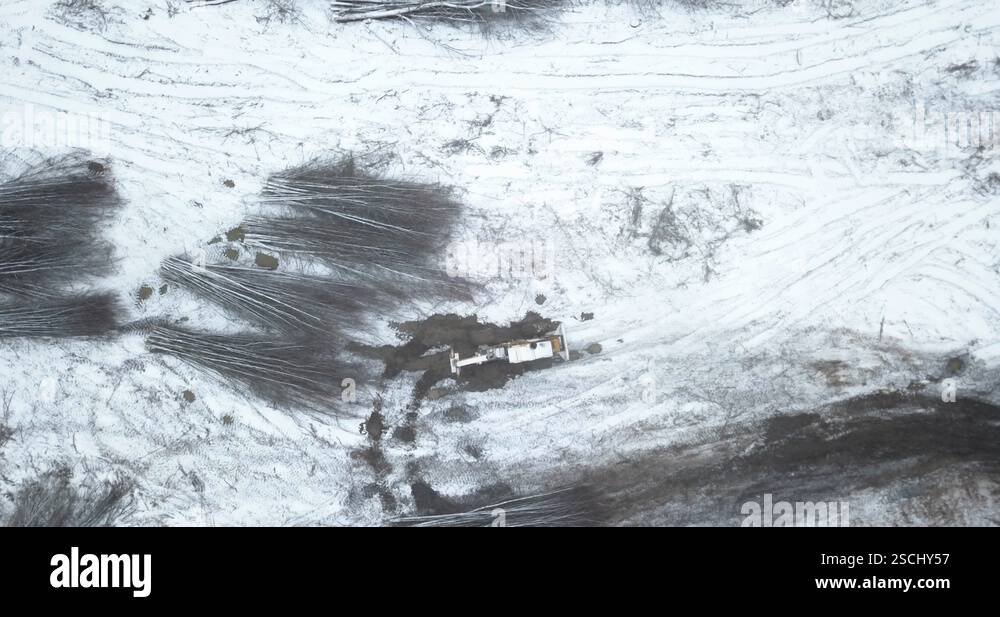 Skipper tractor in field moving cut down trees on winter day - making ...