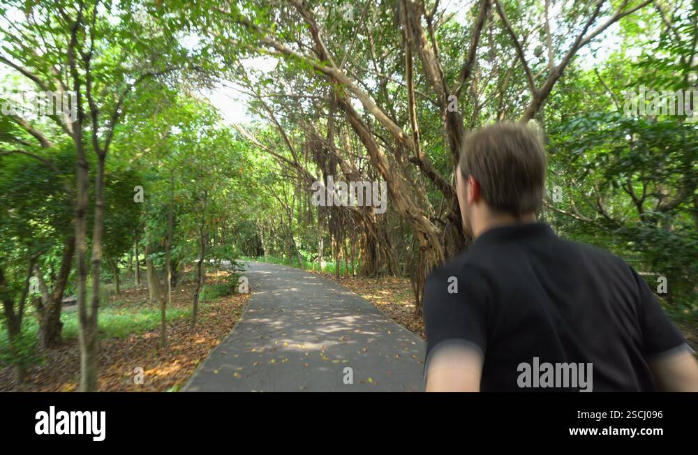 Forest beast Stock Videos & Footage - HD and 4K Video Clips - Alamy