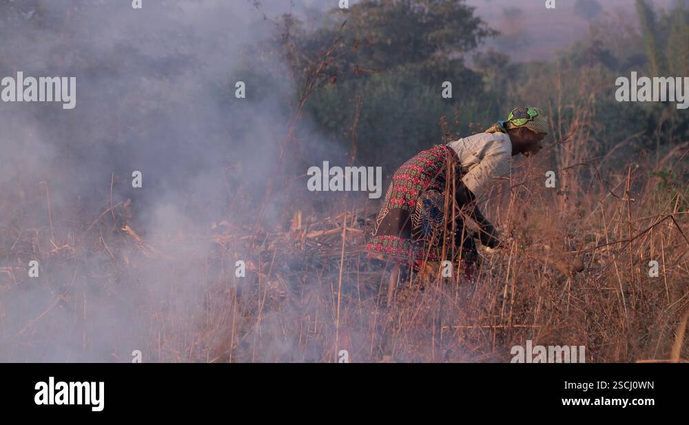 Rural Malawi, South Africa Farmers Burning Fields and Ditches Stock ...