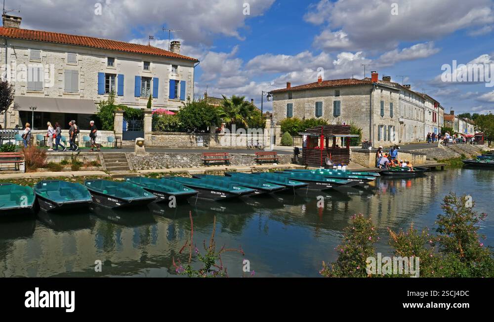 Coulon, Marais Poitevin, poitevin marsh, Vende,France Stock Video ...