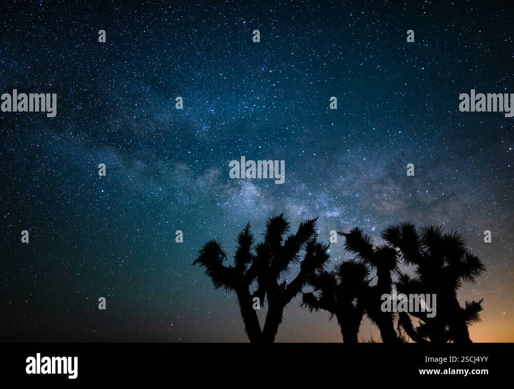 6K Milky Way Galaxy Rises Over Joshua Tree National Park Time Lapse ...