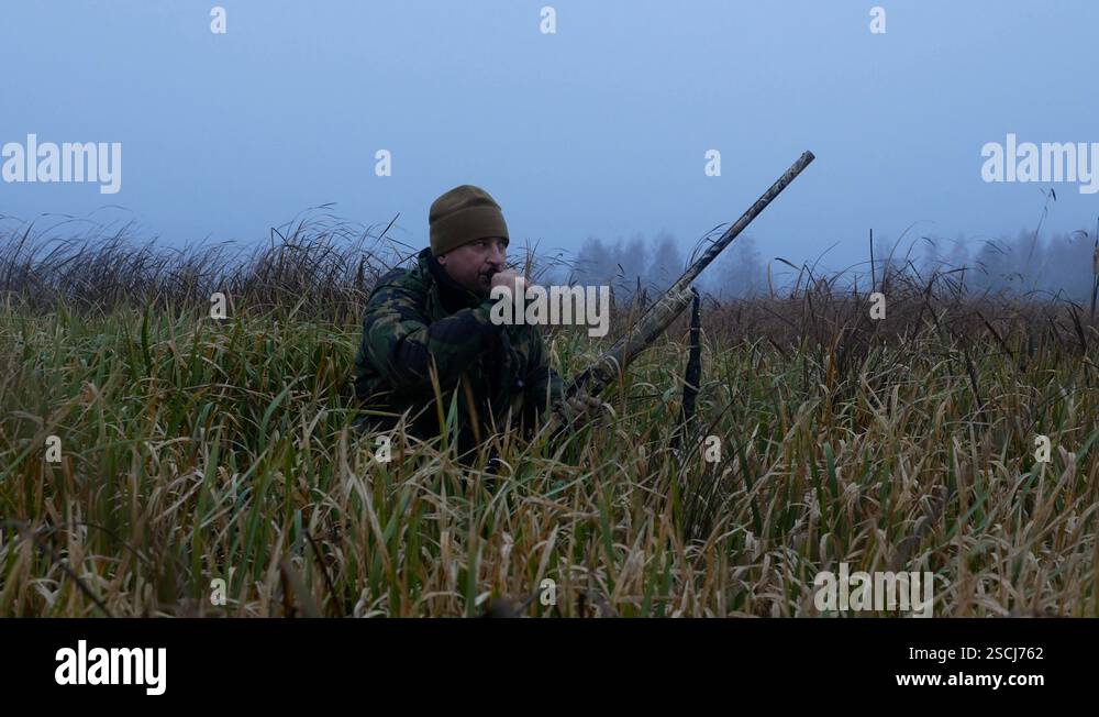 Early morning hunting at morass for ducks Stock Video Footage - Alamy